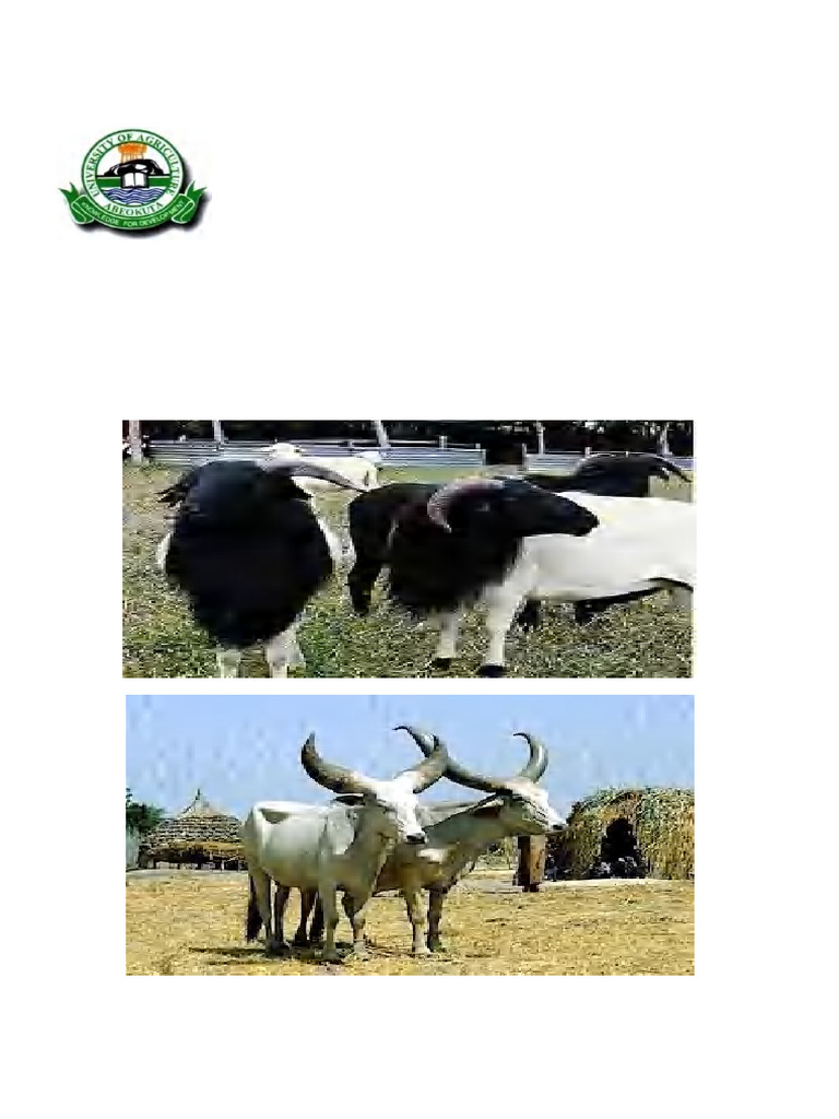 Aph 312 Compiled | PDF | Sheep | Ruminant