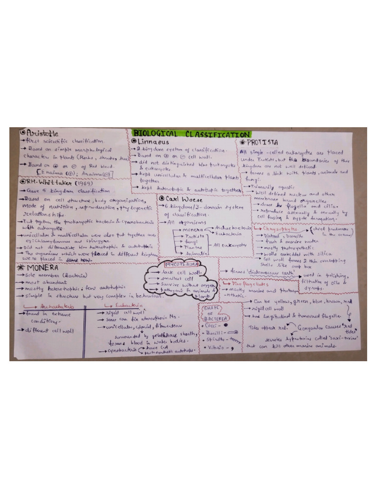 Bio. Classification Rotated | PDF