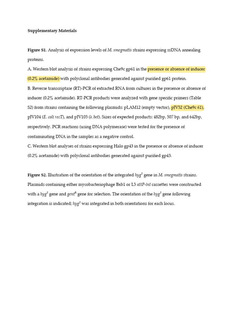2008 - Kessel & Hatfull - Efficient Point Mutagenesis in Mycobacteria Using Single Stranded DNA ...
