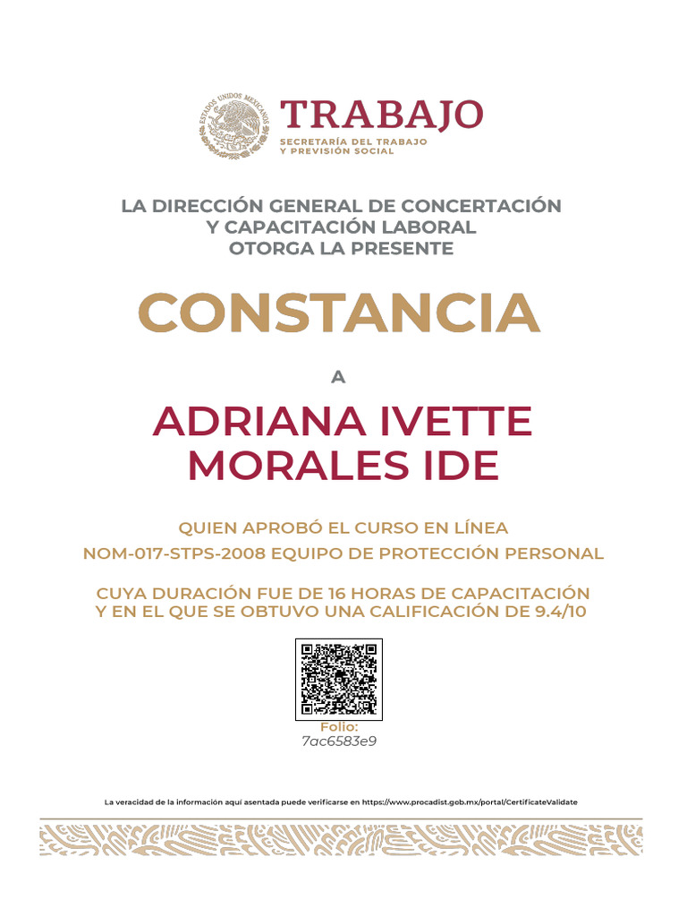 Constancia NOM-017 STPS-2008 | PDF