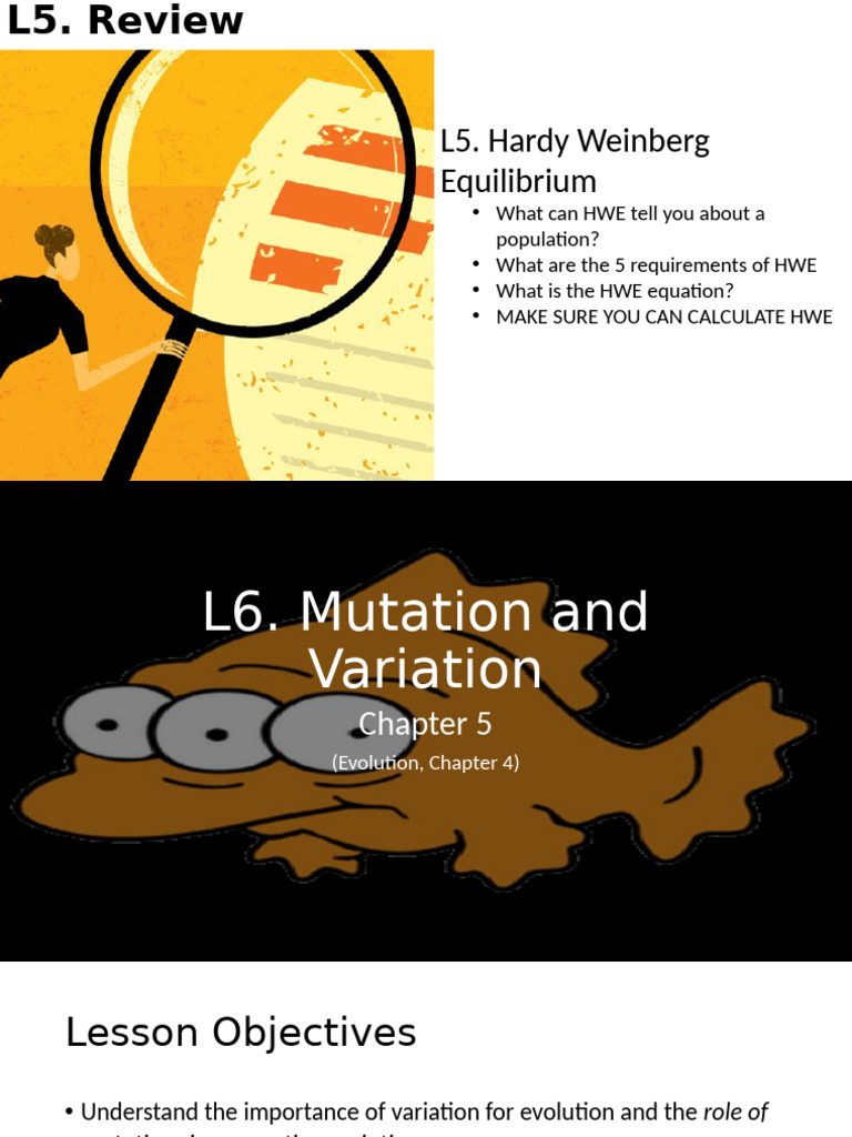 L6.Mutations&Variation | PDF | Point Mutation | Mutation