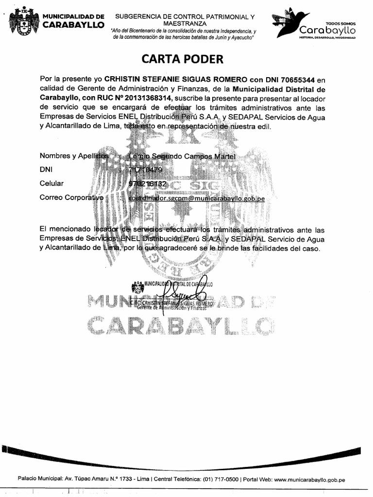 Carta Poder - Actualizado | PDF