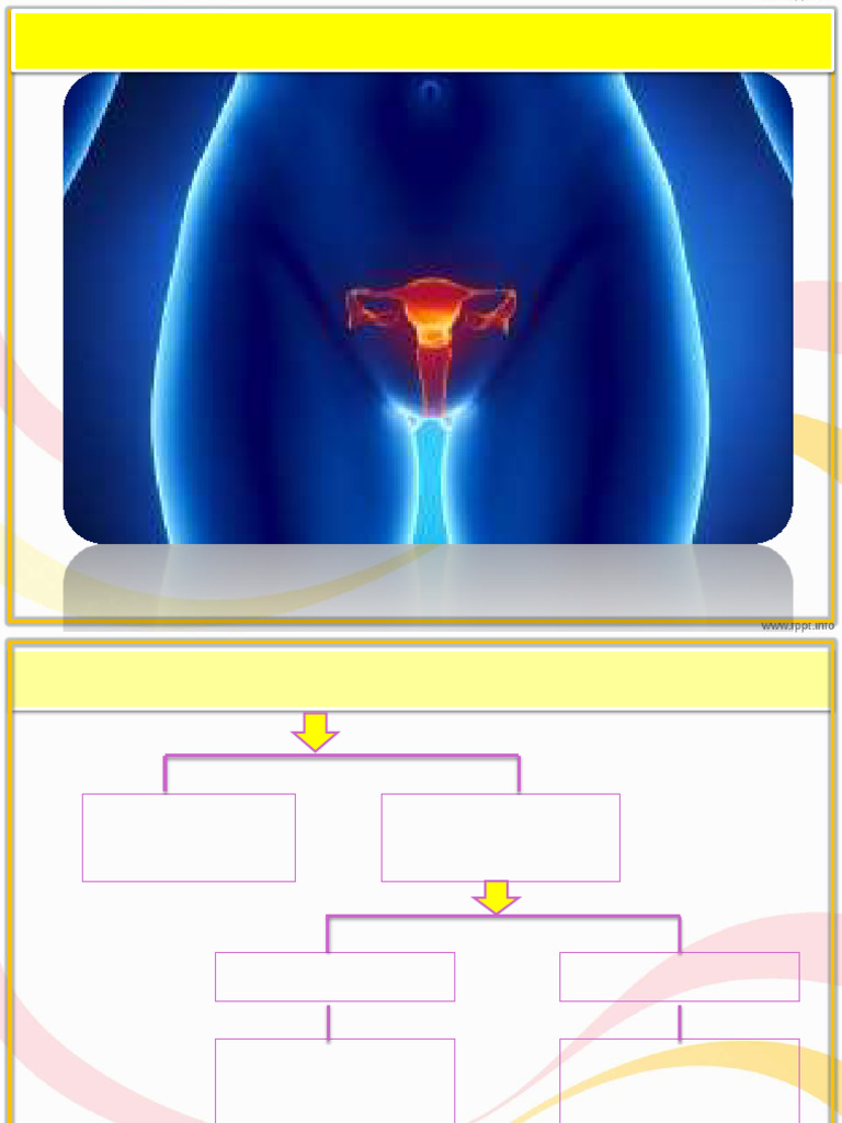 APARATO REPRODUCTOR FEMENINO | PDF | Sistema reproductivo | Ciclo menstrual