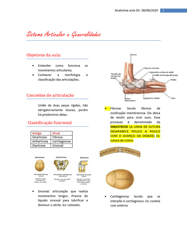 aula 3 - anatomia | PDF | Crânio | Osso