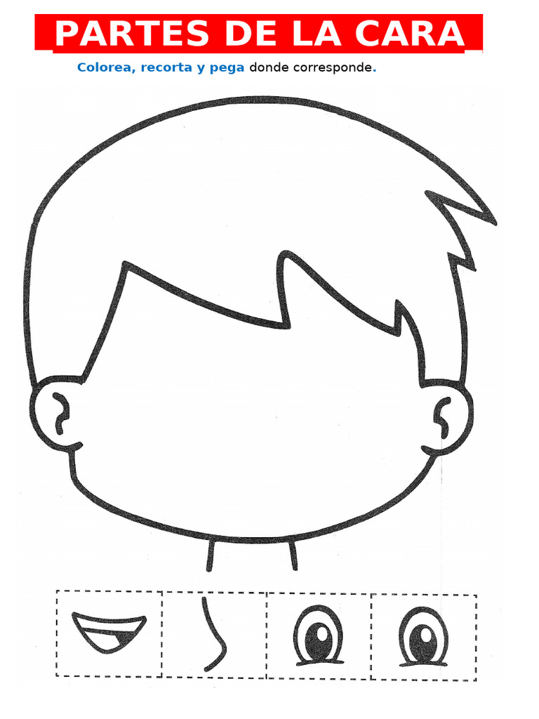 Colorea y arma las partes de la cara | PDF