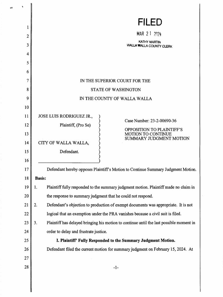 Opposition to Summary Judgment Delay | PDF | Summary Judgment ...