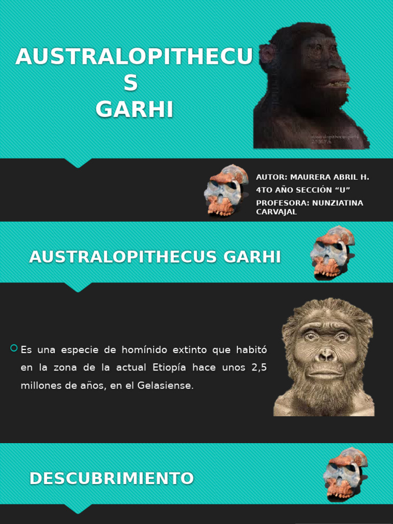 Australopithecus Garhi: Descubrimiento y Características | PDF
