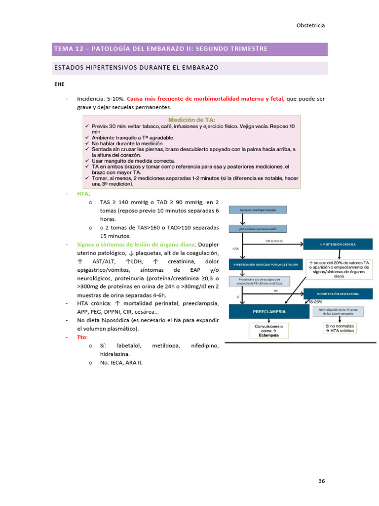 Obstetricia t12 | PDF | Especialidades Medicas | Medicina CLINICA