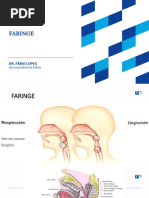 Anatomía y Fisiología de La Rinofaringe, Orofaringe e Hipofaringe | PDF ...
