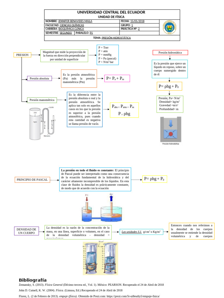 Presion Hidrostatica | PDF | Presión | Densidad