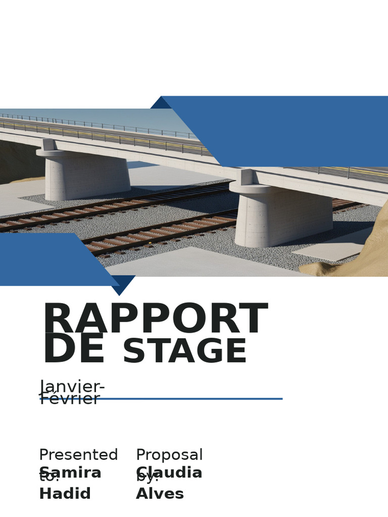 Blue Project Proposal | PDF