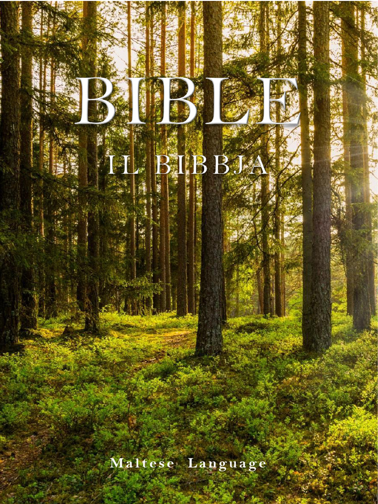 Maltese All Bible | PDF