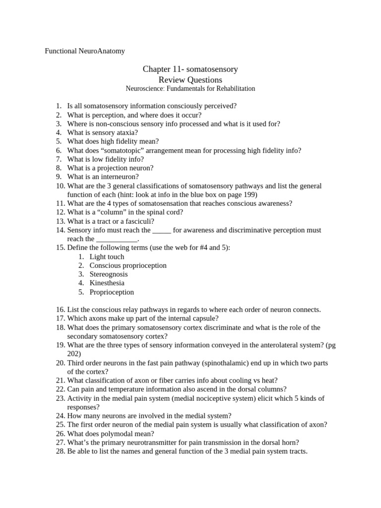 CH 11 - Neuroscience Questions - 2020 | PDF | Somatosensory System ...