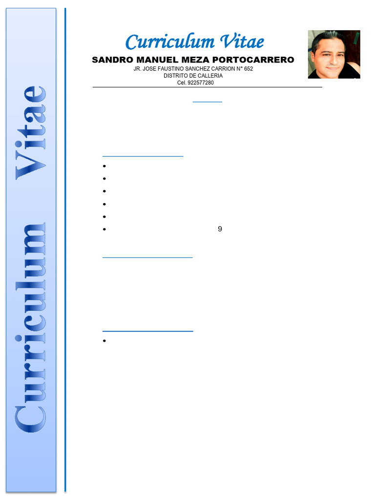 CV Sandro Manuel Meza Portocarrero | PDF