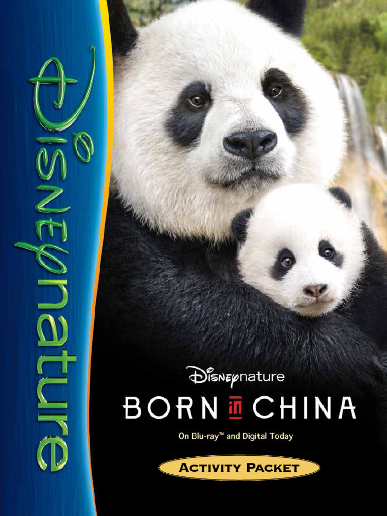 Activity Packet | PDF | Giant Panda | Leopard