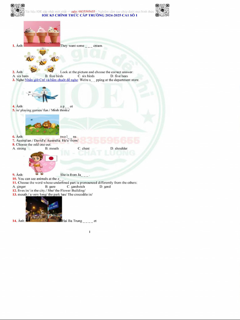 Ioe k5 Chinh Thuc Cap Truong 2024-2025 Ca1 | PDF