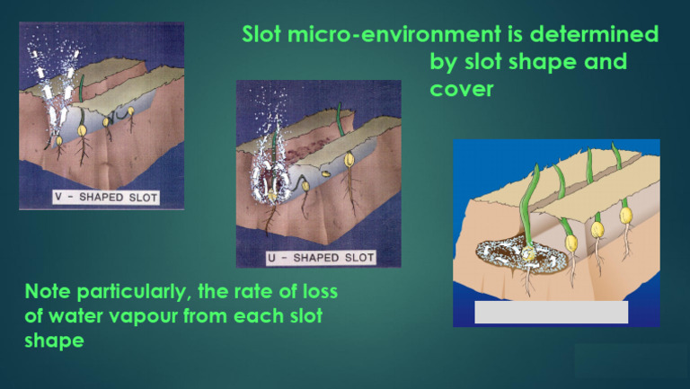 Slot Micro-Environment Is Determined by Slot Shape and Cover | PDF