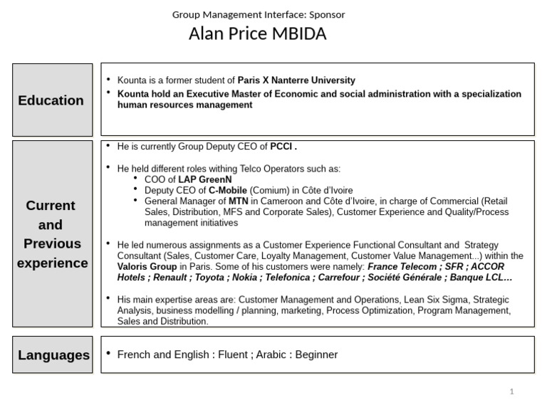 Template CVs - Sponsor | PDF | Business Economics | Business