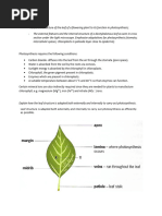 Adaptations of The Leaf For Photosynthesis and Gaseous Exchange | PDF ...