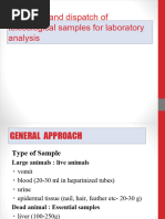 FAVN Report Form With Checklist | PDF