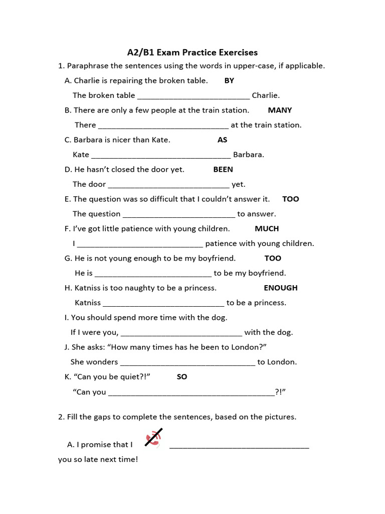 A2/B1 Exam Practice Exercises: BY Many AS Been TOO Much TOO Enough | PDF