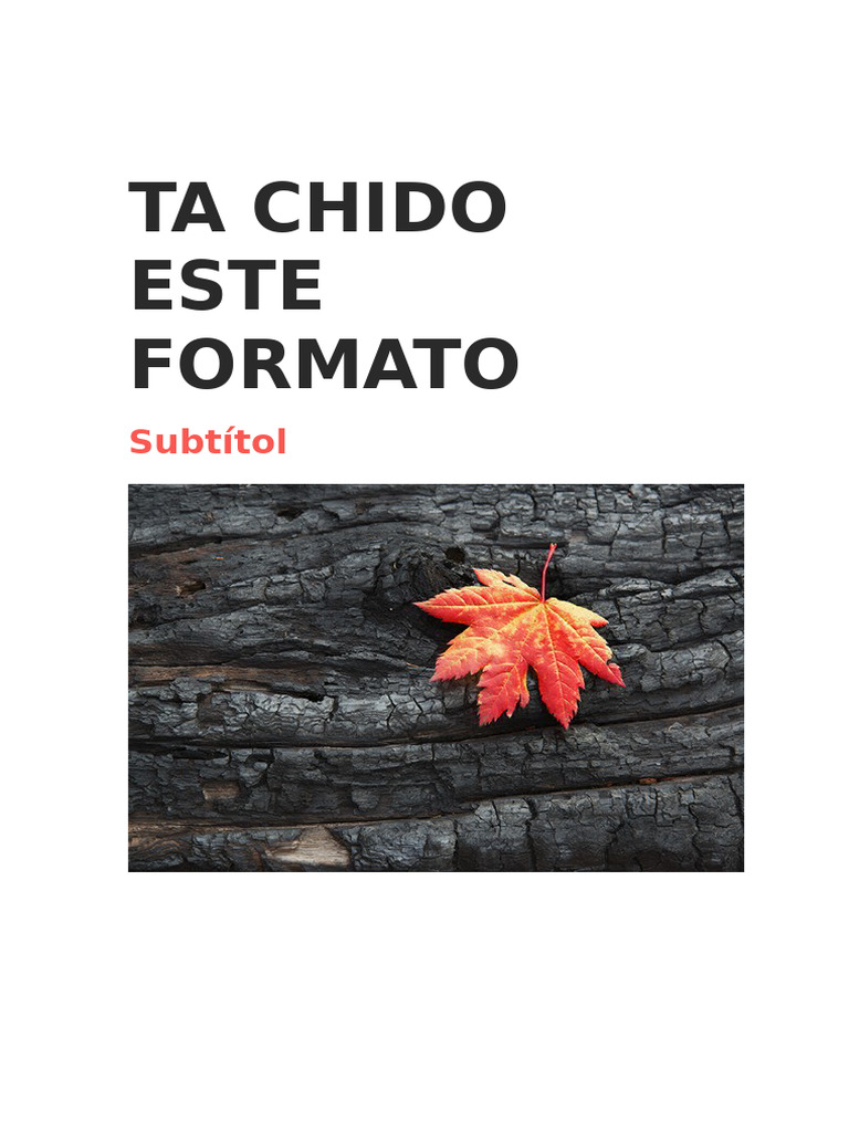 Ta Chido Este Formato: Subtítol | PDF