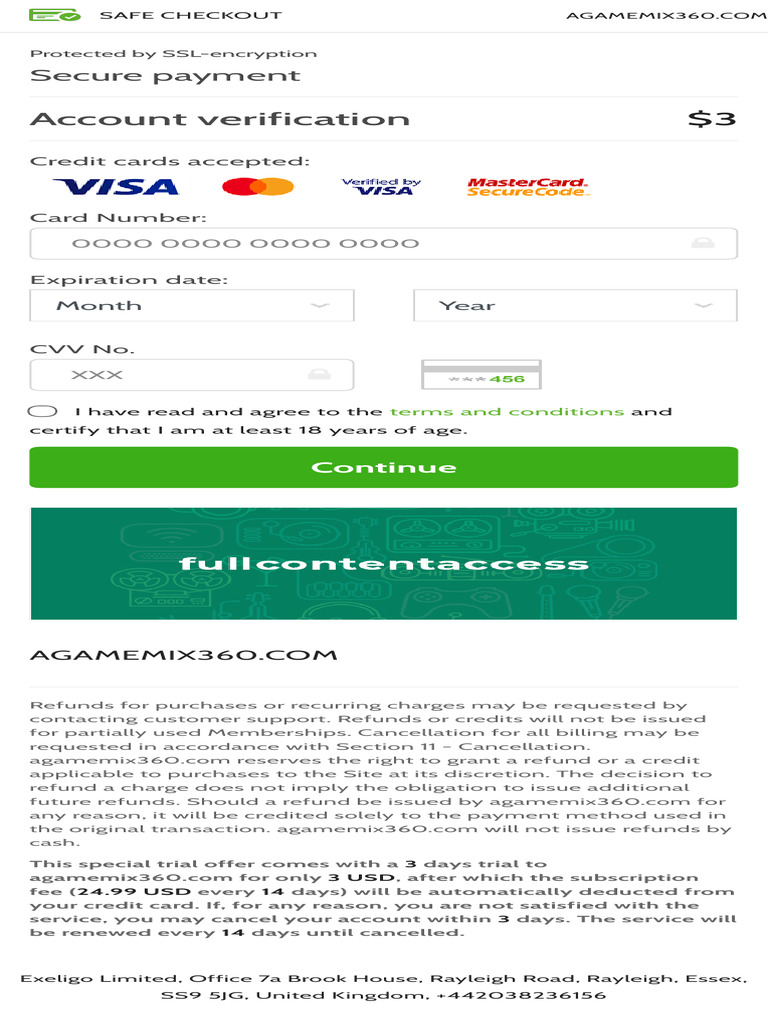 Secure Payment Form | PDF