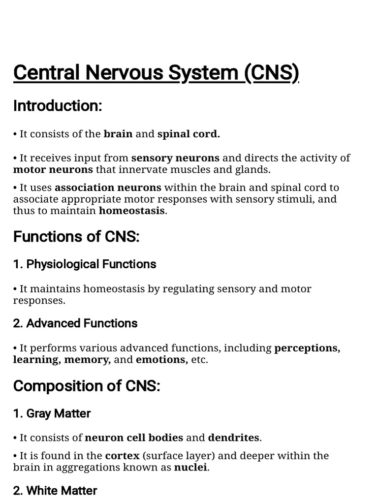Overview of Central Nervous System Functions | PDF | Central Nervous ...