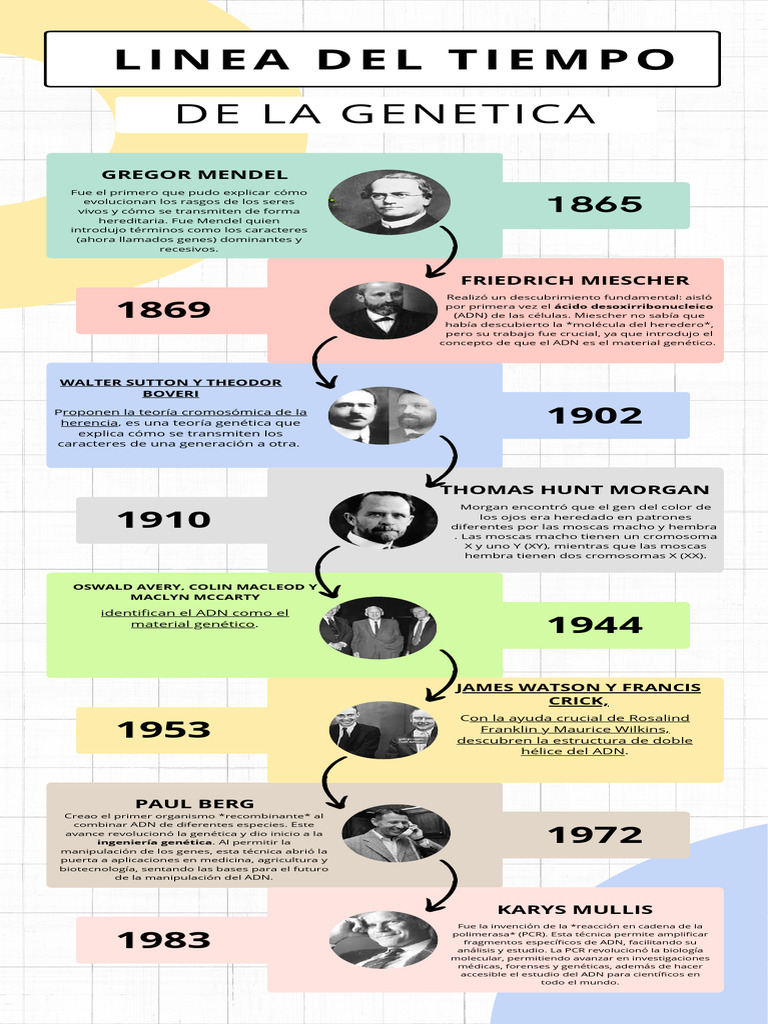 Infografia Linea del Tiempo de la genetica | PDF | Adn | Genética