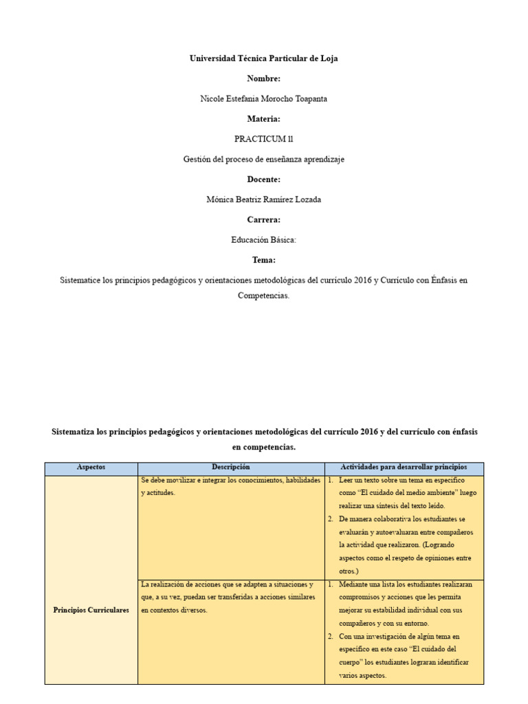 Matriz de Los Principios Pedagogicos y Competencias NM | PDF | Plan de ...