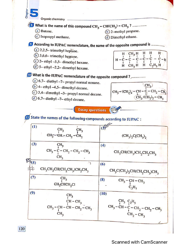 Chapter 5 Lesson 2 | PDF