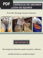Protocolo para Peritoneostomia Clínica | PDF | Infecção | Epidemiologia