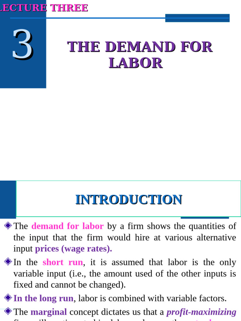labor ch3 | PDF | Labour Economics | Demand
