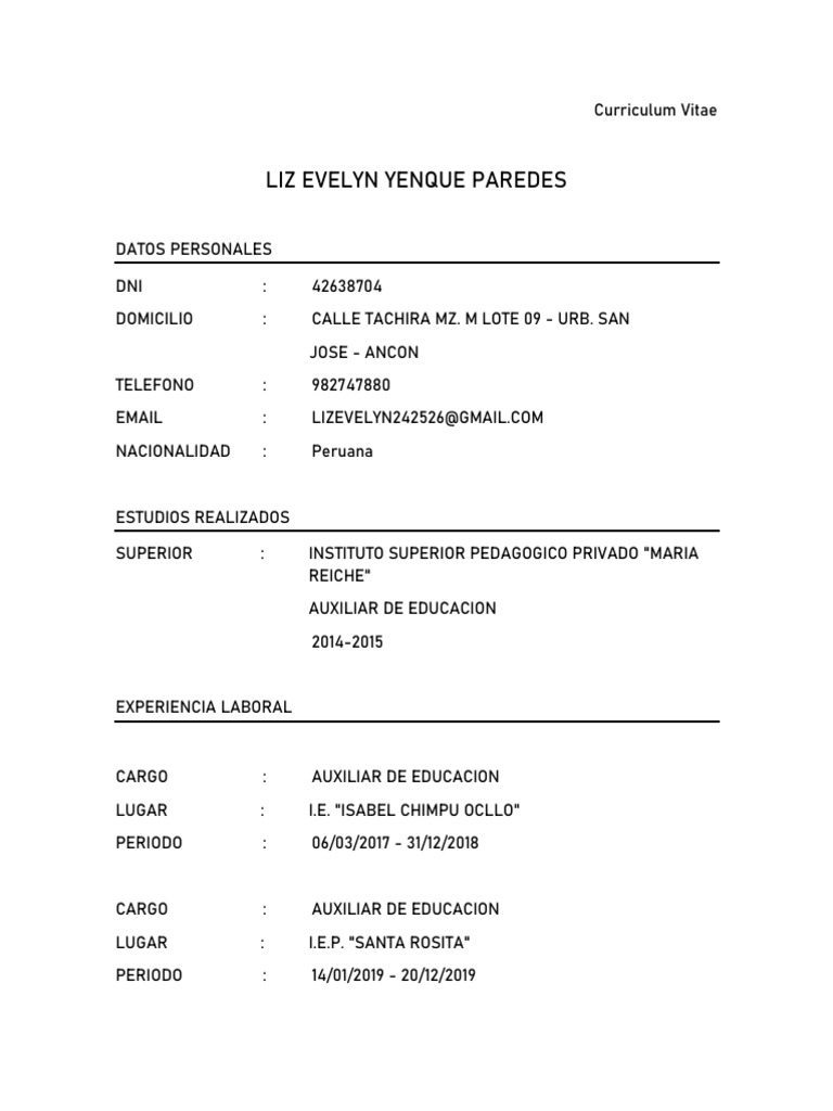 CV Evelyn Yenque | PDF