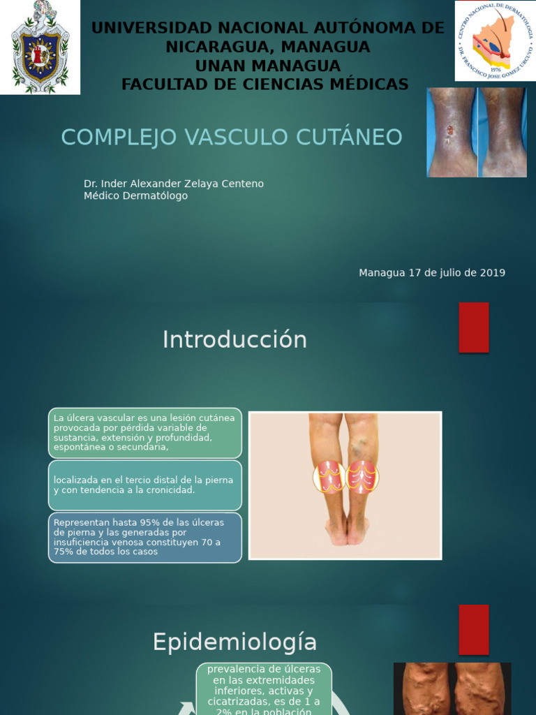 Complejo Vásculo-Cutáneo | PDF | Capilar | Vena