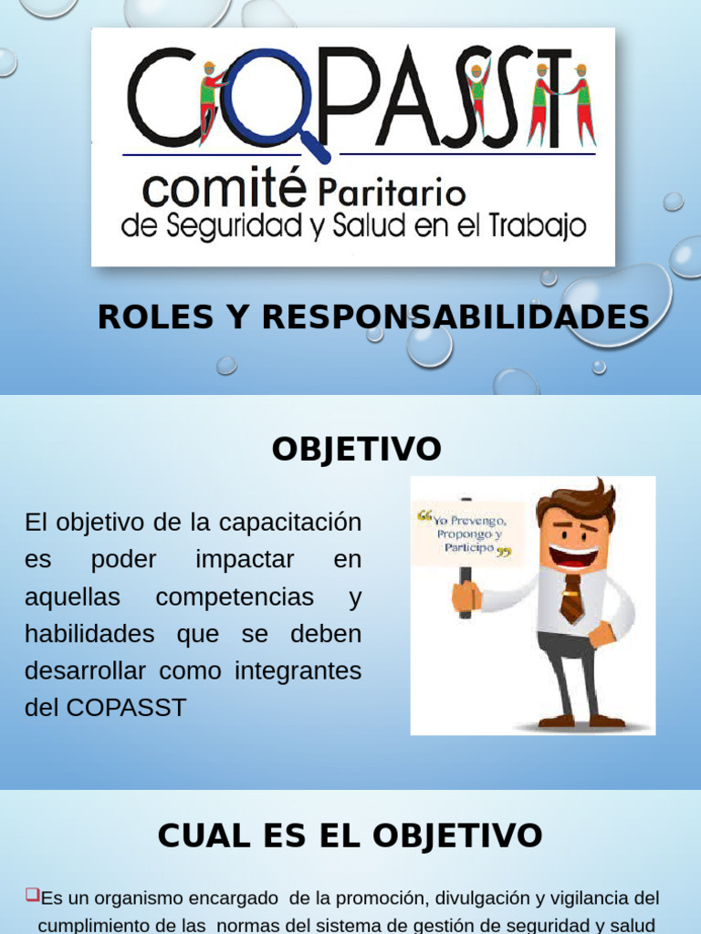 Roles y Responsabilidades Copasst | PDF | Business | Valores
