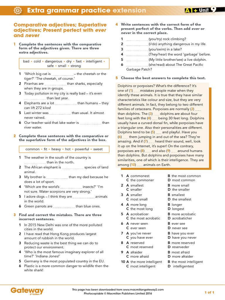A1+ UNIT 9 Extra Grammar Practice Extension | PDF | Adjective | Dolphin