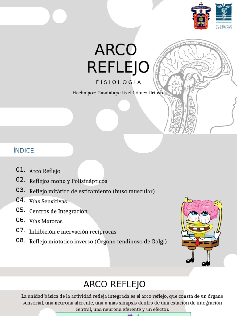 Arco Reflejo-Fisiología | PDF | Neurociencia | Sistema nervioso