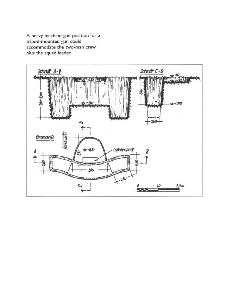 German HMG Position | PDF
