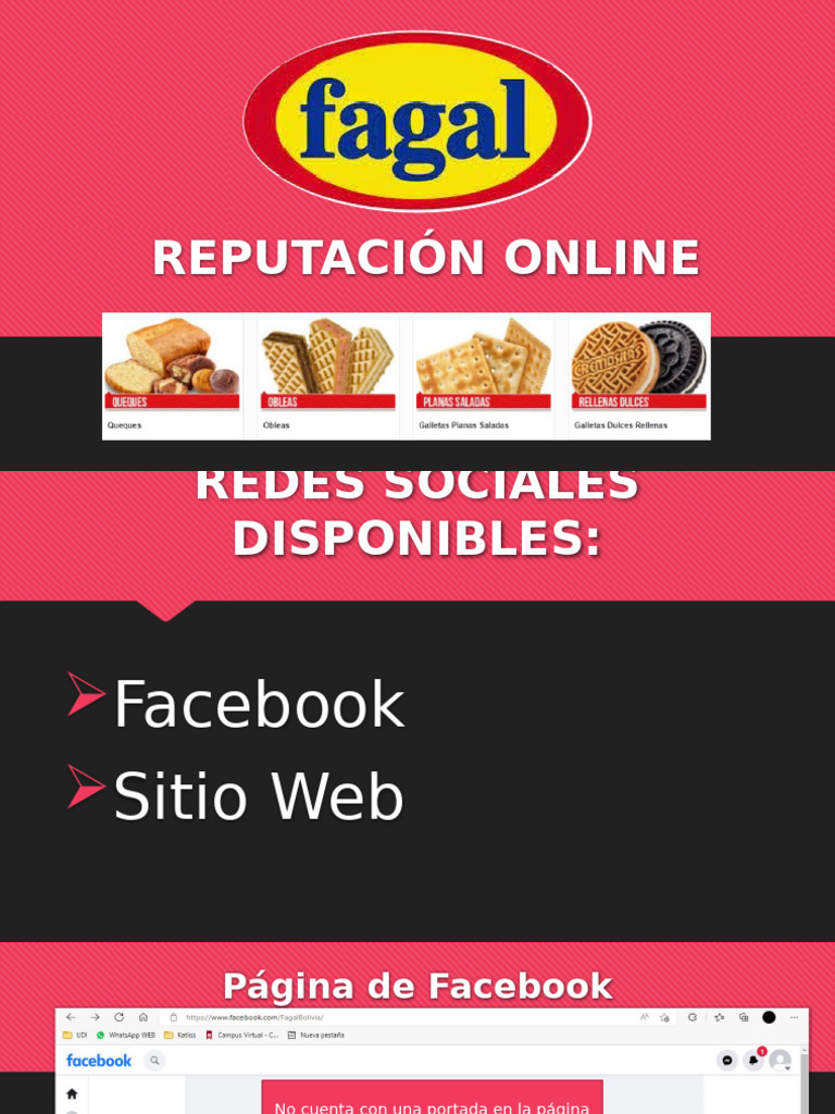 Reputación Online de Industrias Fagal | PDF