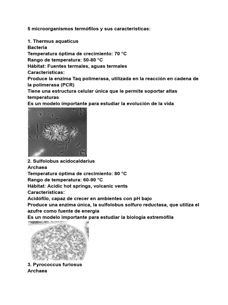 5 Microorganismos Termófilos y Sus Características | PDF | Las ...