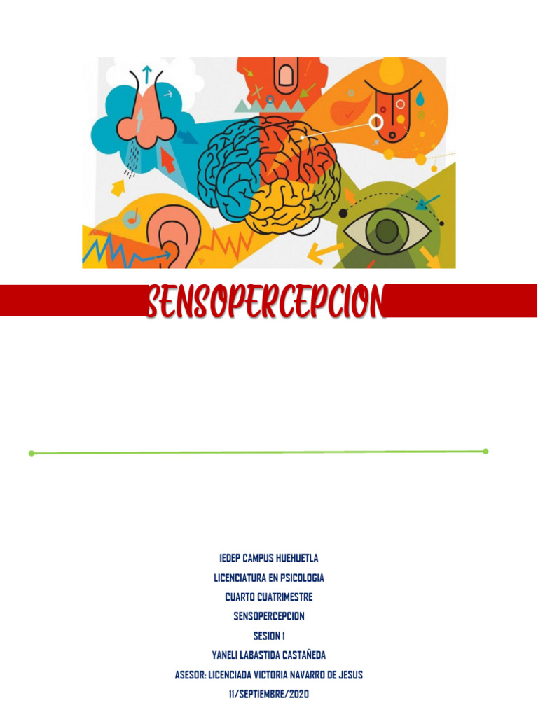 SENSOPERCEPCION.MAPA MENTAL. | PDF | Percepción | Sentidos