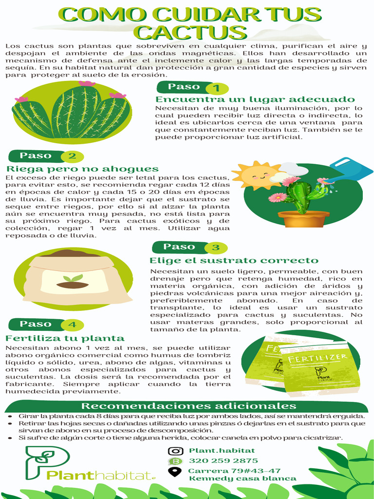 Cuidados Esenciales para Cactus | PDF | Fertilizante | Suelo