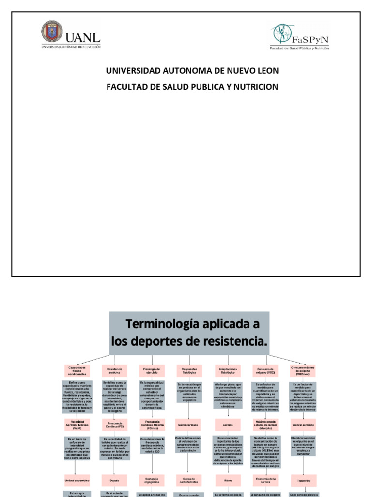 EV1 - Mapa Conceptual | PDF
