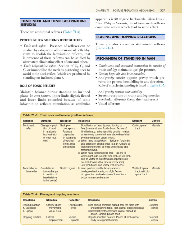 Tonic Reflexes & Posture Mechanisms | PDF | Human Anatomy | Neuroscience