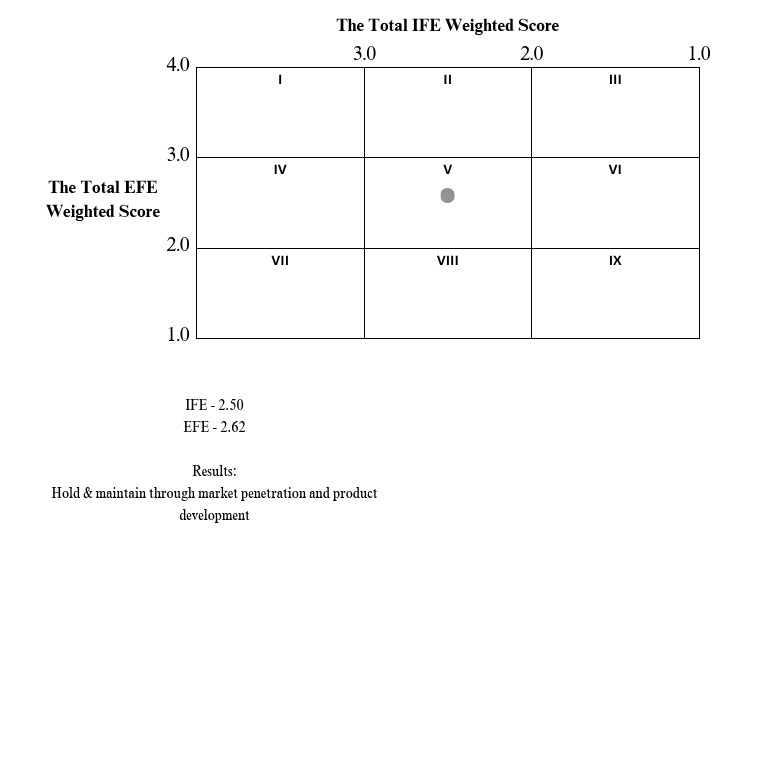 IE Matrix - Sample | PDF