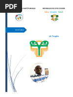 Évolution de l'OGEFREM depuis 1980 | PDF | Transport | Afrique