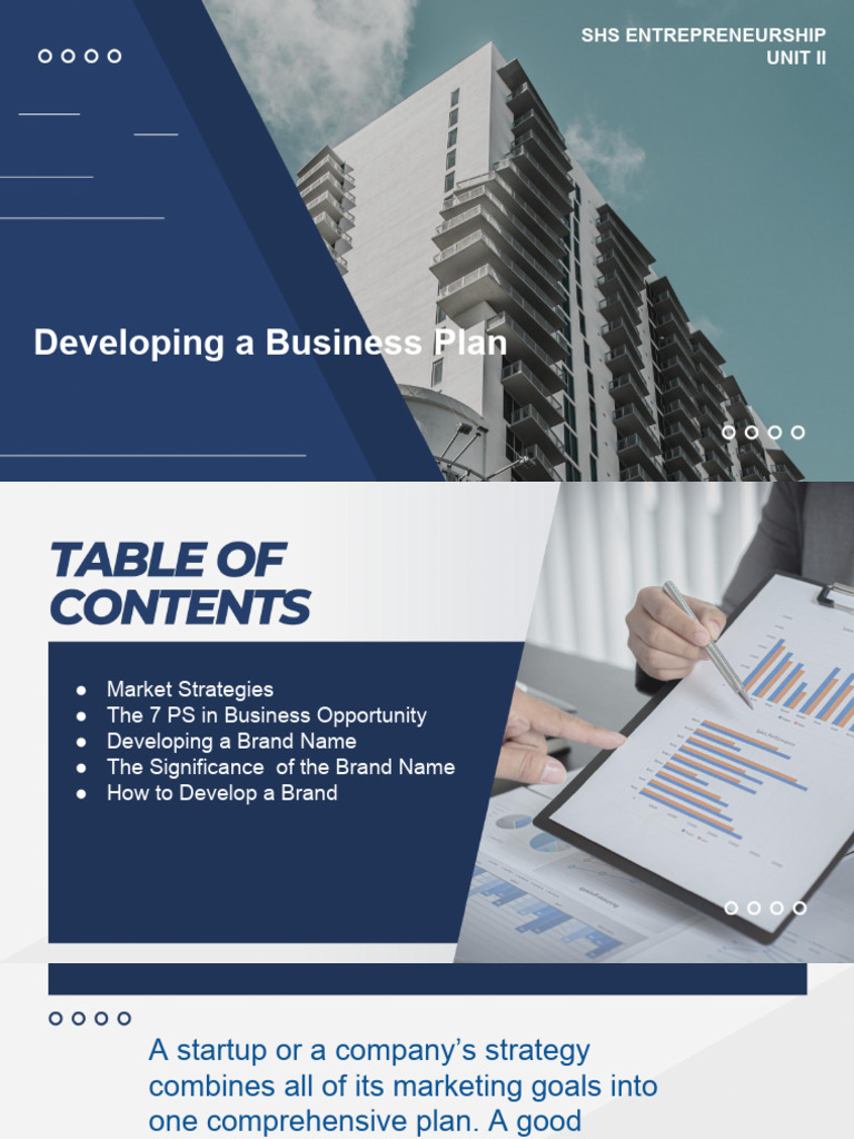 Business Plan Development Strategies | PDF | Marketing | Brand