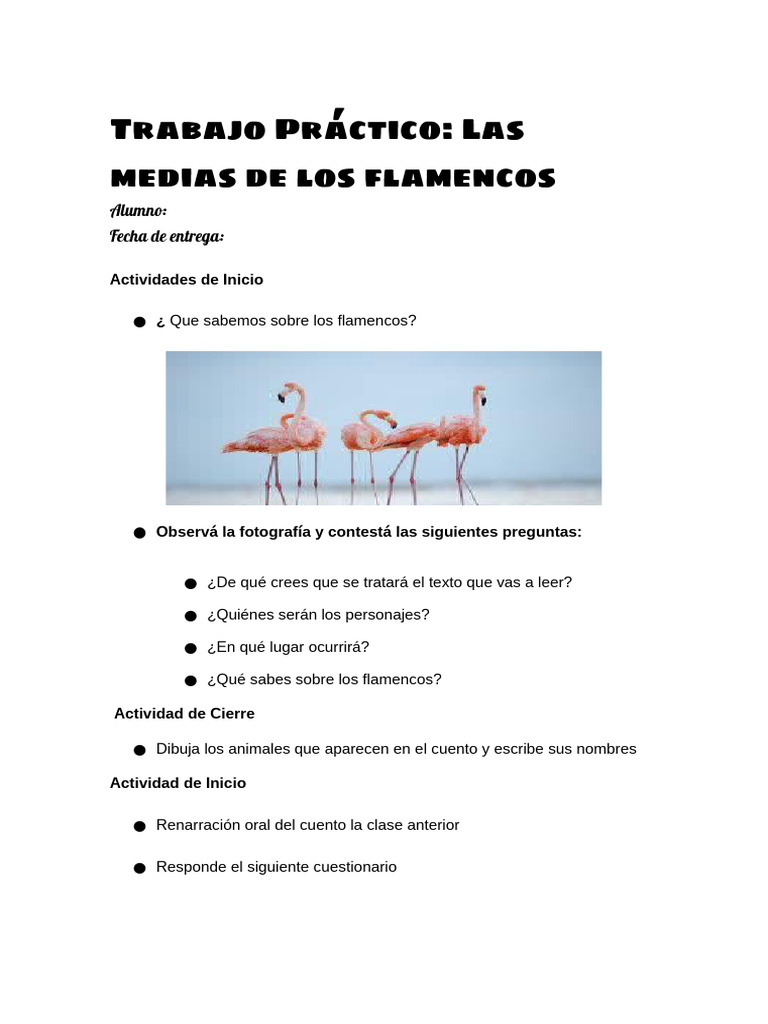 Secuencia Las Medias de Los Flamencos | PDF | Mecánica del lenguaje