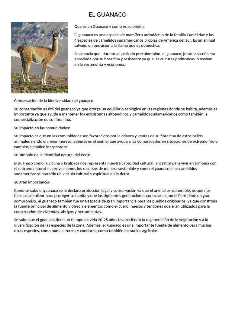 Características y conservación del guanaco | PDF | Entorno natural